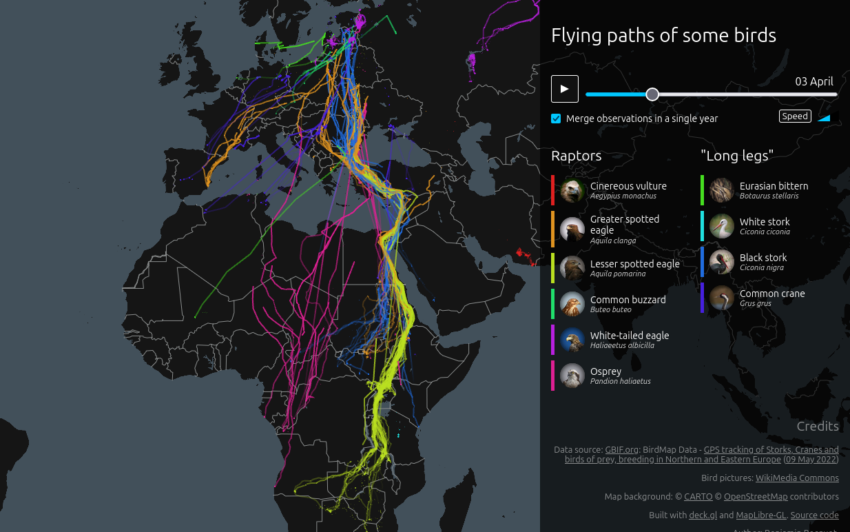 Bird tracking map
